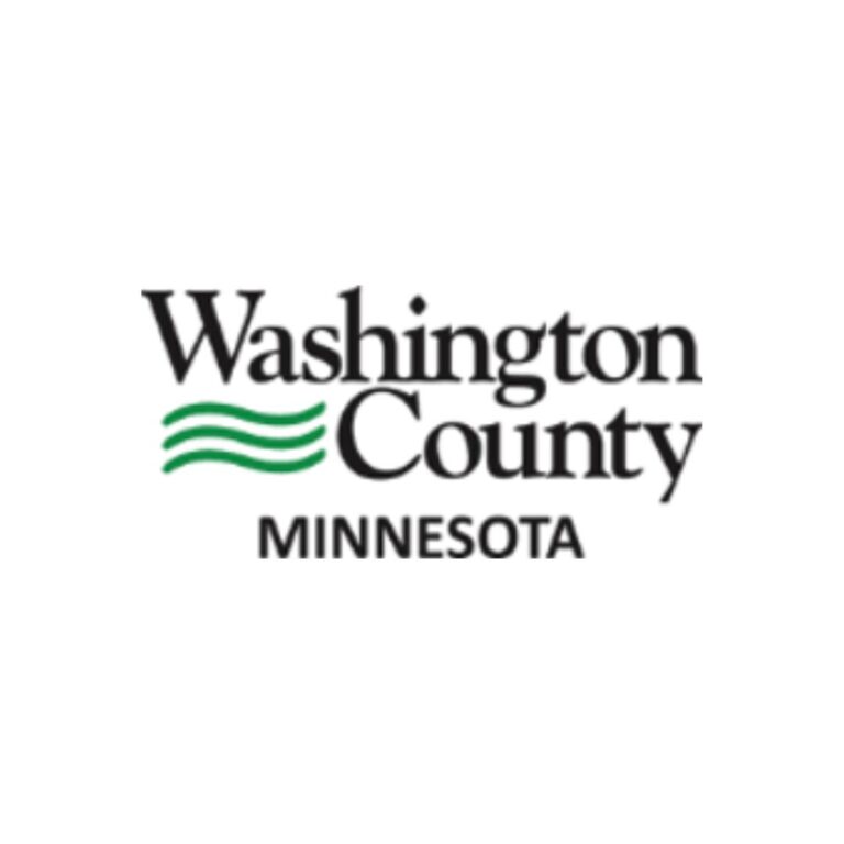 Simplified SSTS process with OneGov - RTVision Software Solutions